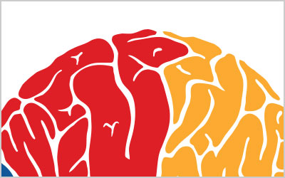 brain | Spectrum Association Management