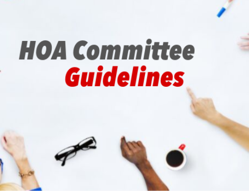 What are the Responsibilities of the ACC Committee?