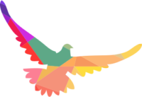 Spectrum Association Management - HOA Management Company in TX & AZ